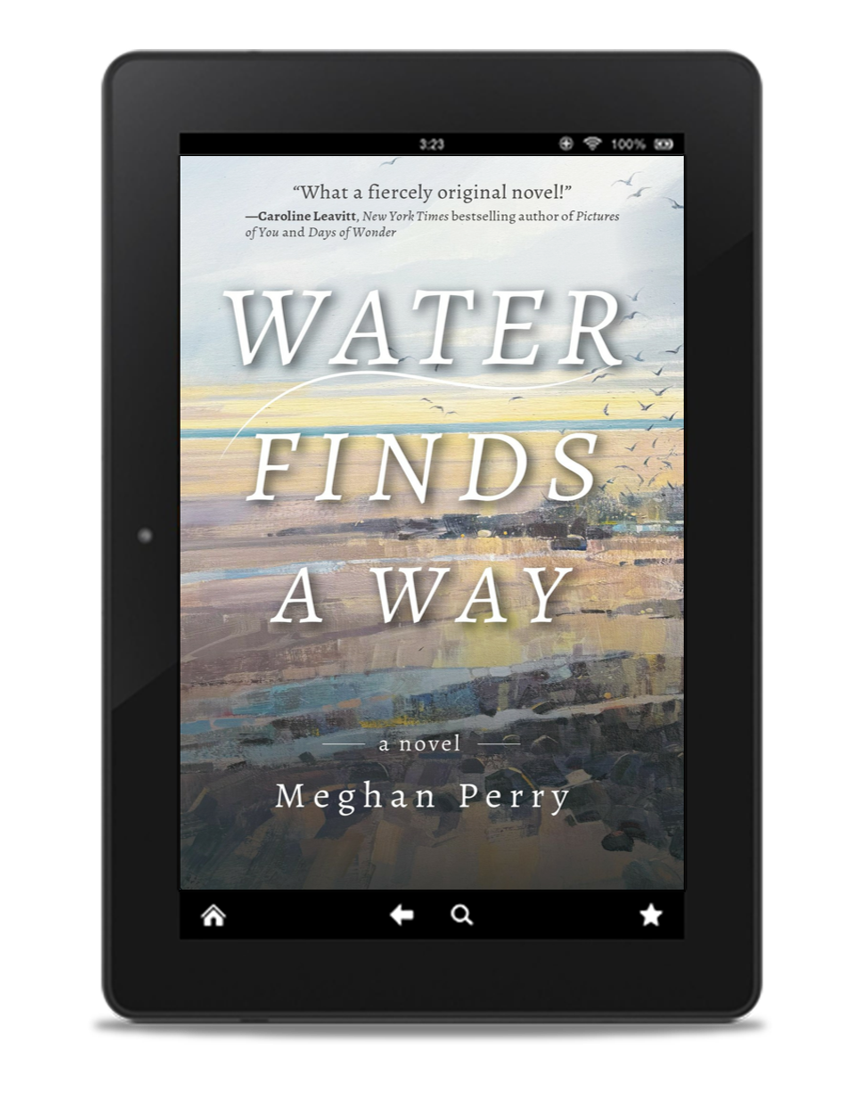 Water Finds a Way - Meghan Perry